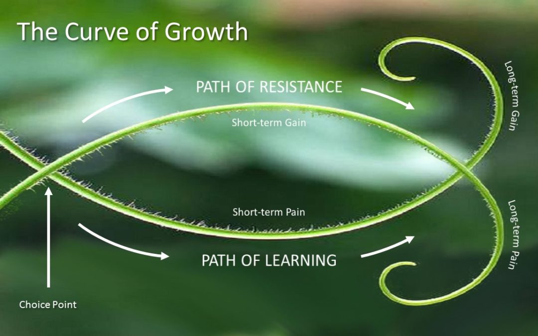 The Curve of Growth: Becoming A Learning Organization ~ David Franklin